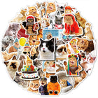 Realistic Cat Expression Vinyl Stickers | Stamprints