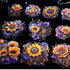 Punk Flower Wild Landscape Sticker Pack | Stamprints Collection