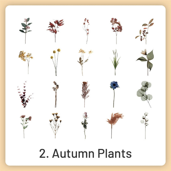 Natural History Museum Insect and Plant Vinyl Stickers | Stamprints