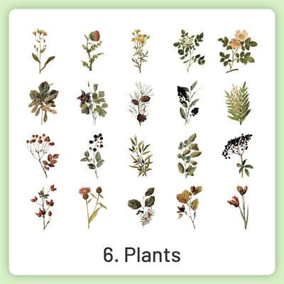 Natural History Museum Insect and Plant Vinyl Stickers | Stamprints