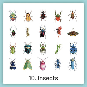 Natural History Museum Insect & Plant Vinyl Stickers Pack - 640 Pieces ...