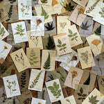 Botanical Decorative Note Paper Set | Minimalist Design by Stamprints