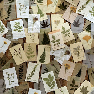 Botanical Decorative Note Paper Set | Minimalist Design by Stamprints