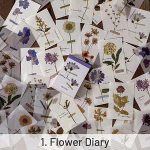 Botanical Decorative Note Paper Set | Minimalist Design by Stamprints