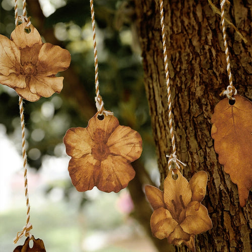 Twilight Series Vintage Nature Sticky Notes Sticker Pack | 15 Pcs ...