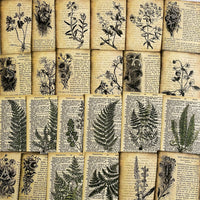 Vintage Botanical Notes Paper for Scrapbooking | Stamprints