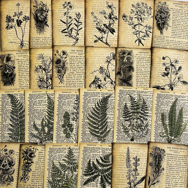 Vintage Botanical Notes Scrapbook Paper - High-Definition Plant-Themed ...