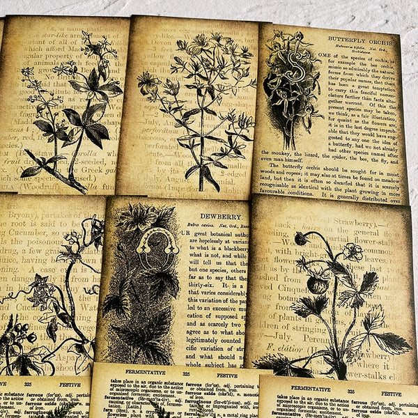Vintage Botanical Notes Scrapbook Paper - High-Definition Plant-Themed ...