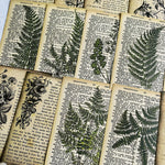 Vintage Botanical Notes Paper for Scrapbooking | Stamprints