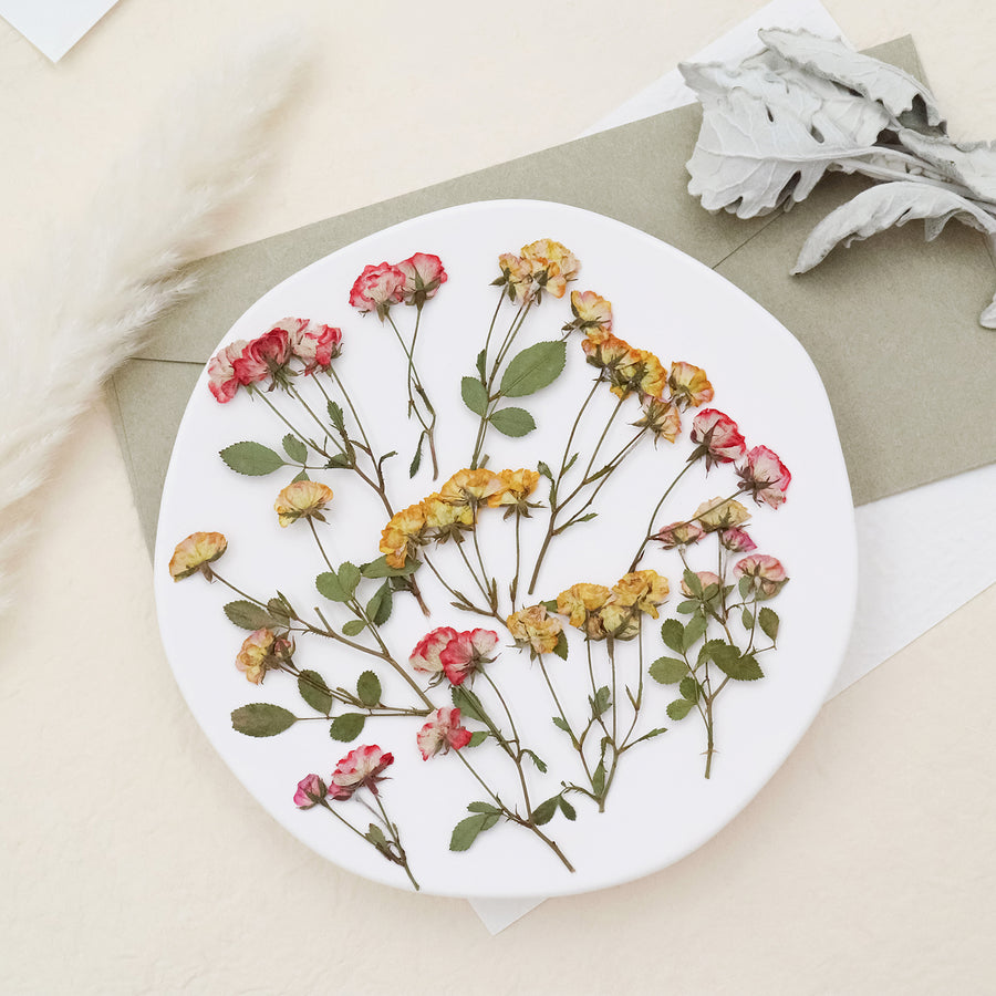 Dried Pressed Spray Roses - Dried & Silk Flowers - Stamprints