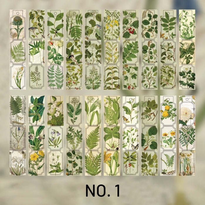 Vintage Plant Long Strip Boxed Sticker - Retro Stickers | Stamprints