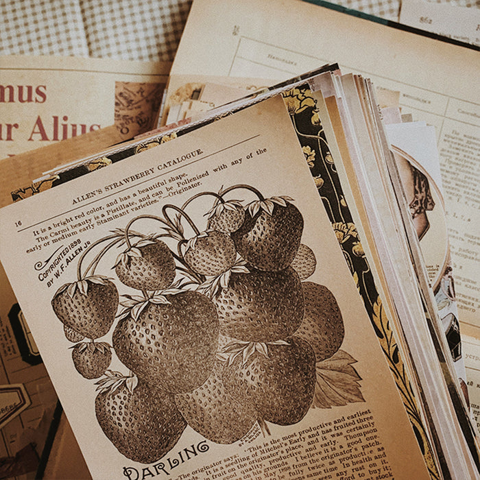 Retro Old Newspaper Scrapbook Paper Pack - Journal Paper | Stamprints