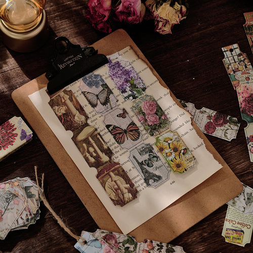 Vintage Plant Long Strip Boxed Sticker - Retro Stickers | Stamprints